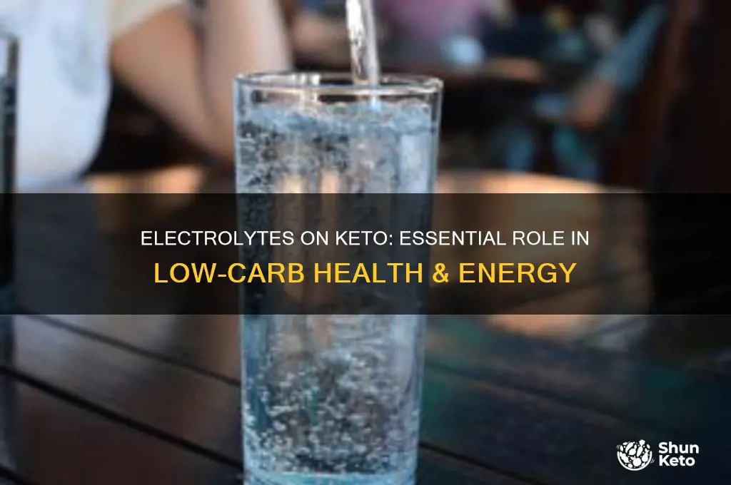 Electrolytes On Keto: Essential Role In Low-Carb Health & Energy | ShunKeto