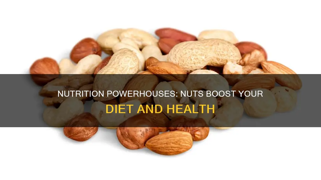 Nutrition Powerhouses: Nuts Boost Your Diet And Health | ShunKeto