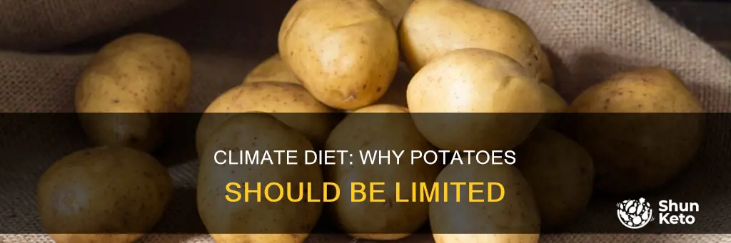 Climate Diet: Why Potatoes Should Be Limited | ShunKeto