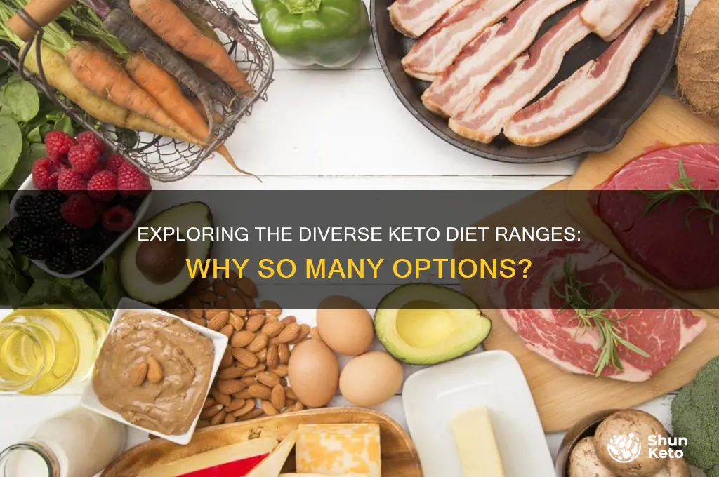 Exploring The Diverse Keto Diet Ranges: Why So Many Options? | ShunKeto