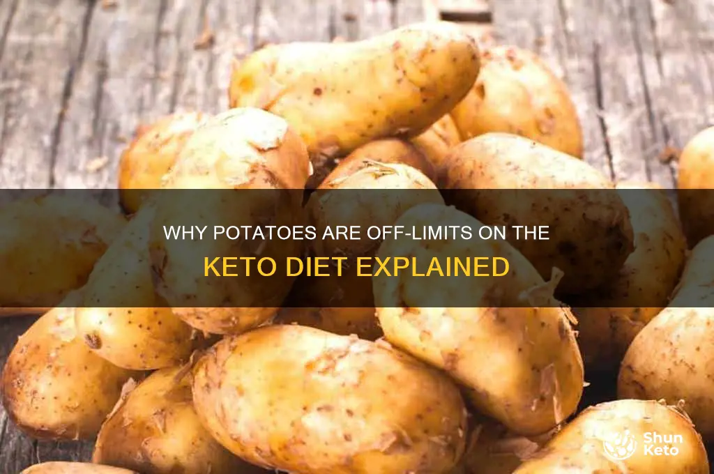 Why Potatoes Are Off-Limits On The Keto Diet Explained | ShunKeto