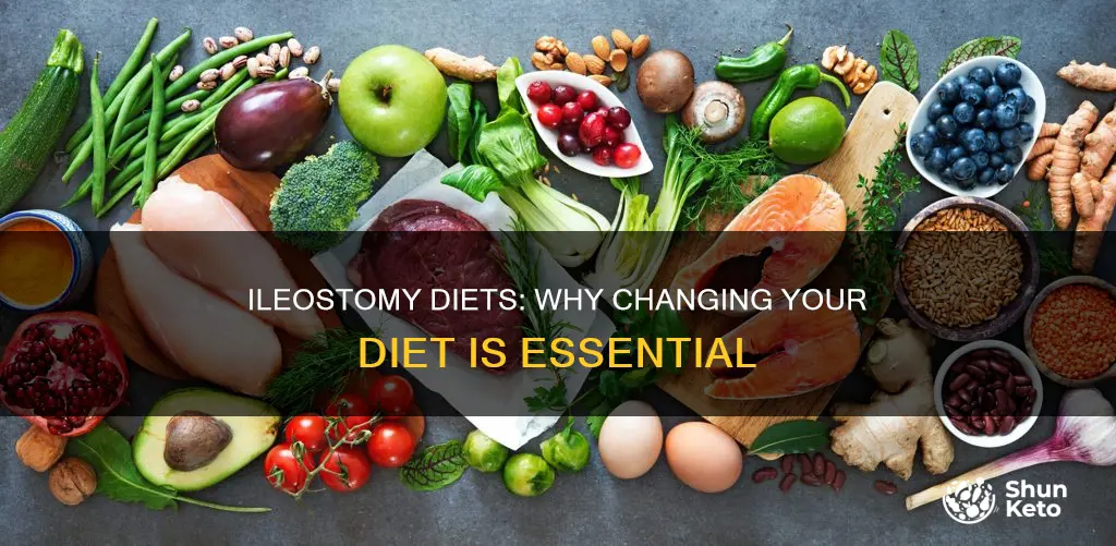 Ileostomy Diets: Why Changing Your Diet Is Essential | ShunKeto