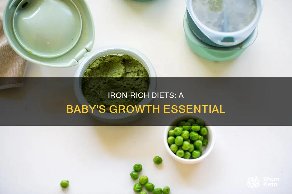 Iron-Rich Diets: A Baby's Growth Essential | ShunKeto