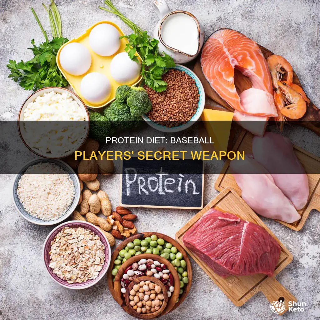 Protein Diet: Baseball Players' Secret Weapon | ShunKeto