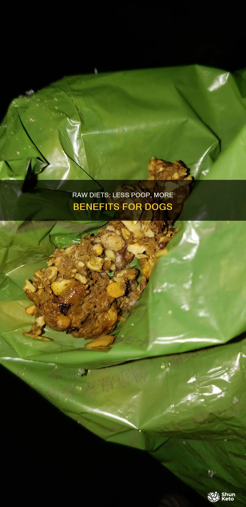 Raw Diets: Less Poop, More Benefits For Dogs | ShunKeto