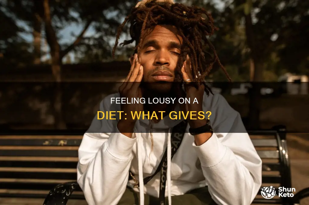 Feeling Lousy On A Diet: What Gives? | ShunKeto