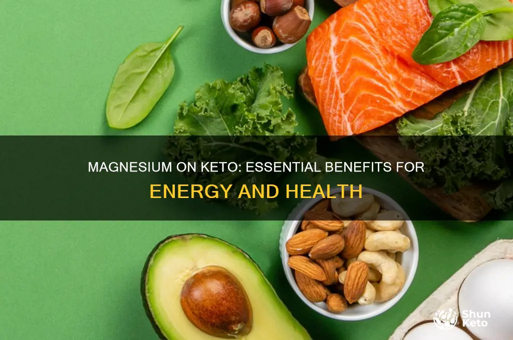 Magnesium On Keto: Essential Benefits For Energy And Health | ShunKeto
