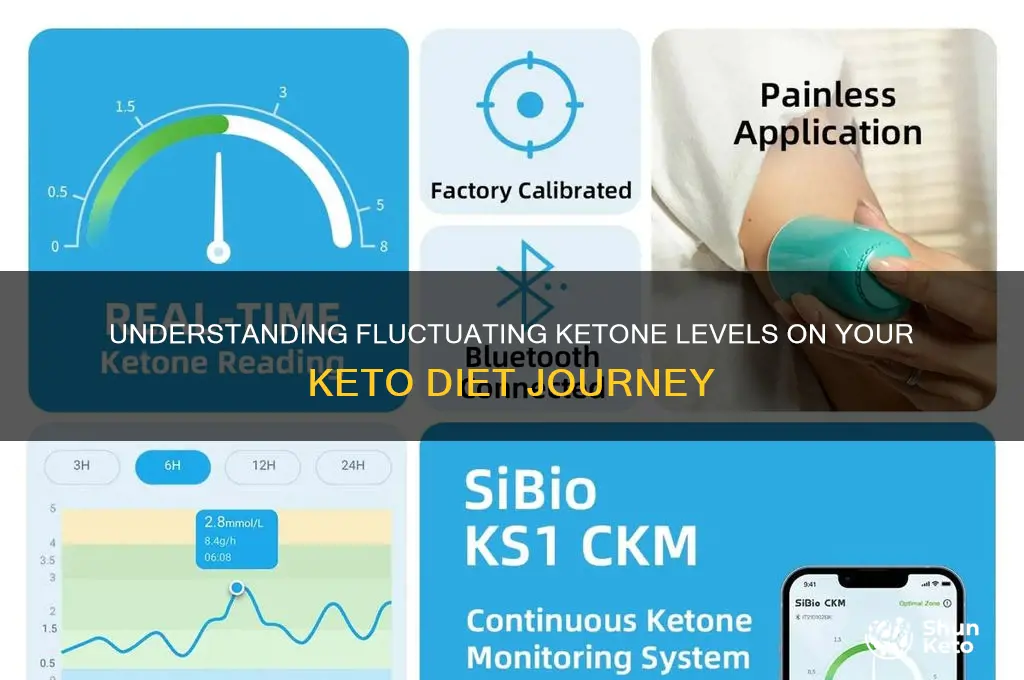 Understanding Fluctuating Ketone Levels On Your Keto Diet Journey ...