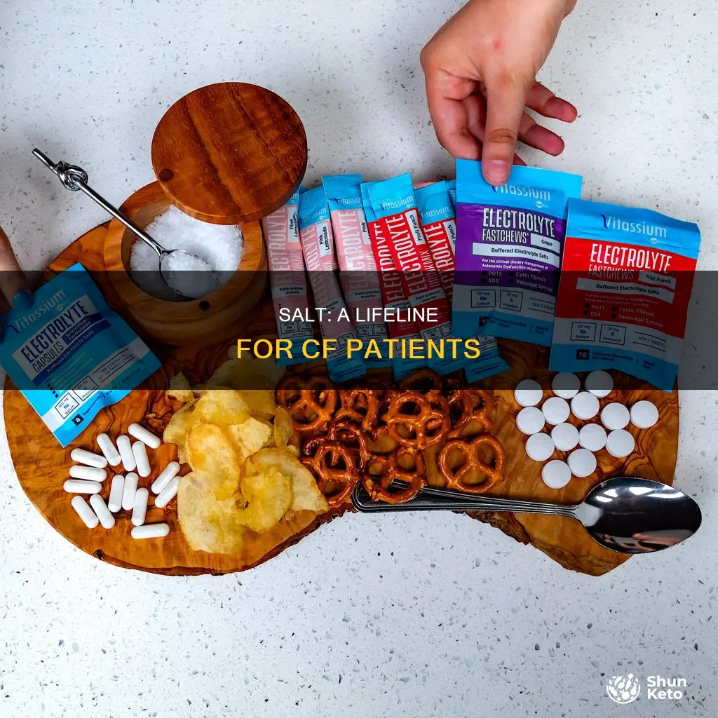 Salt: A Lifeline For Cf Patients | ShunKeto