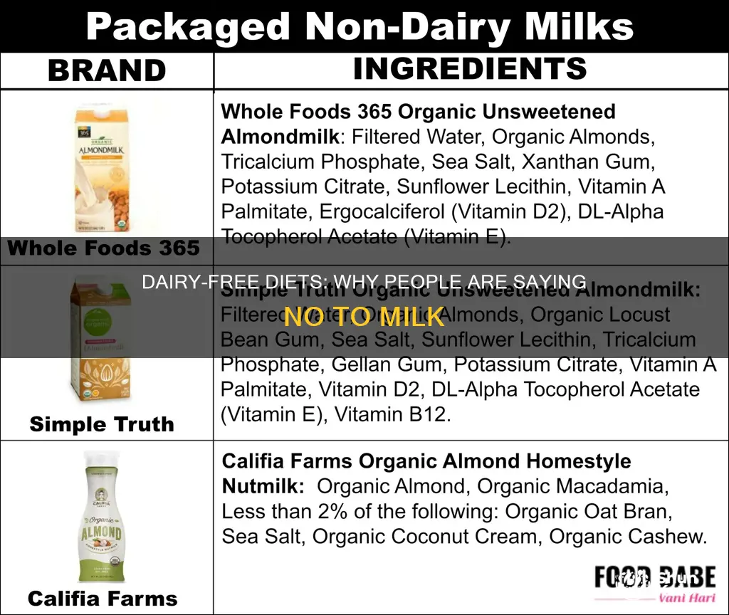 Dairy-Free Diets: Why People Are Saying No To Milk | ShunKeto