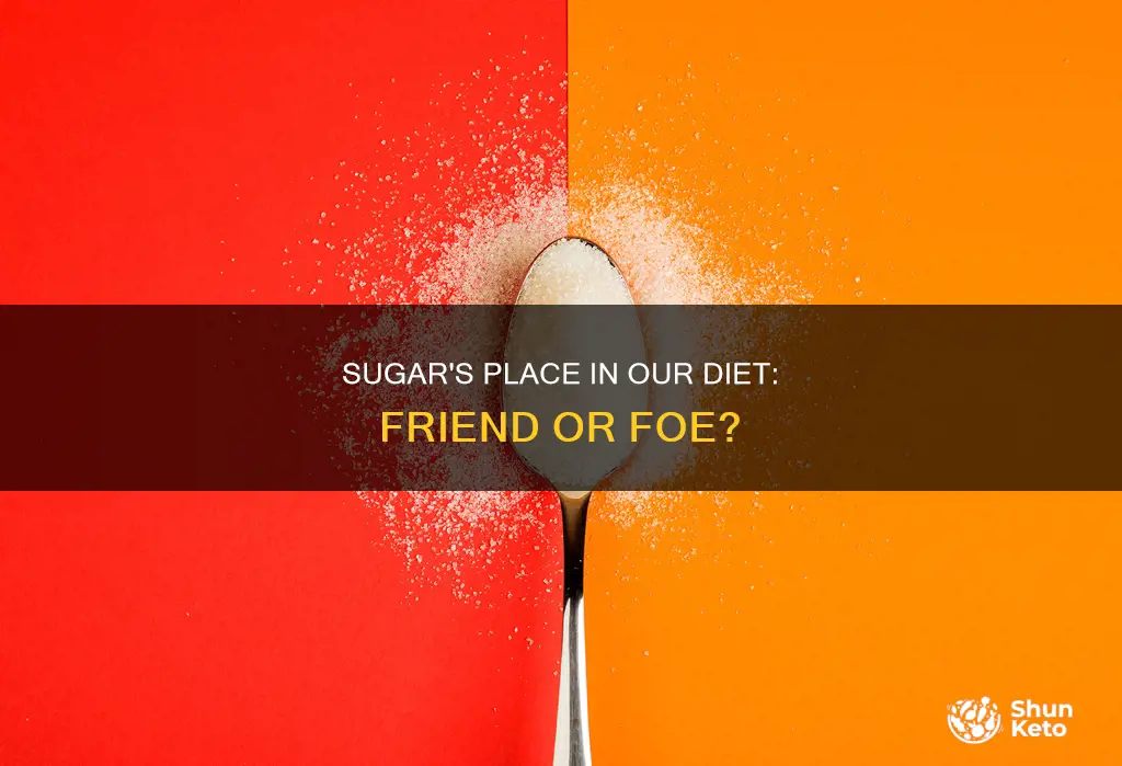 Sugar's Place In Our Diet: Friend Or Foe? | ShunKeto