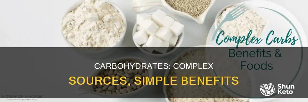 Carbohydrates: Complex Sources, Simple Benefits | ShunKeto
