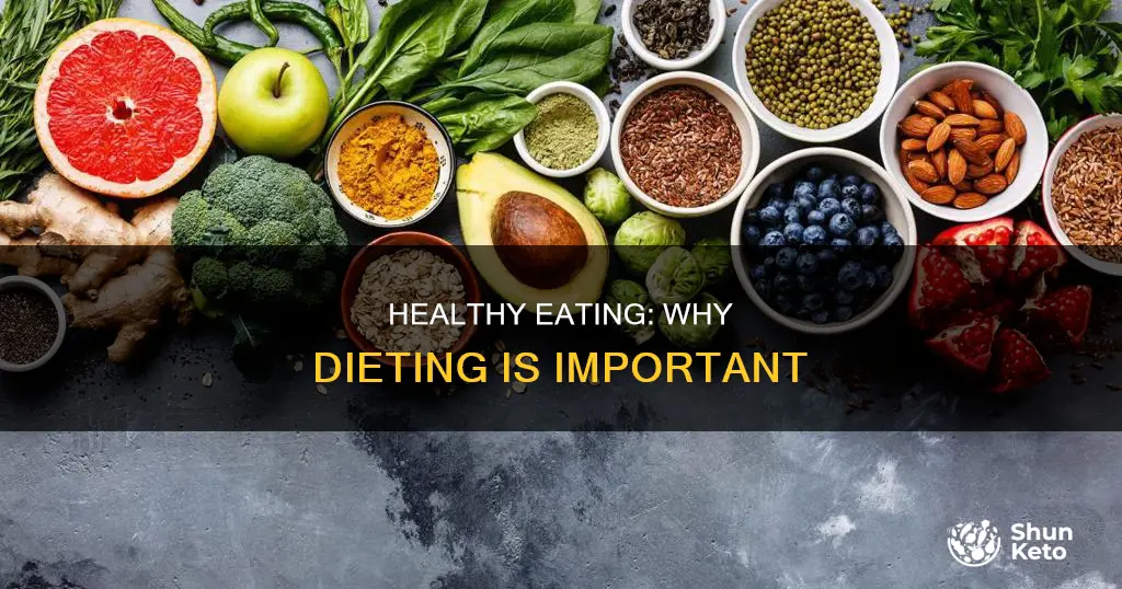 Healthy Eating: Why Dieting Is Important | ShunKeto