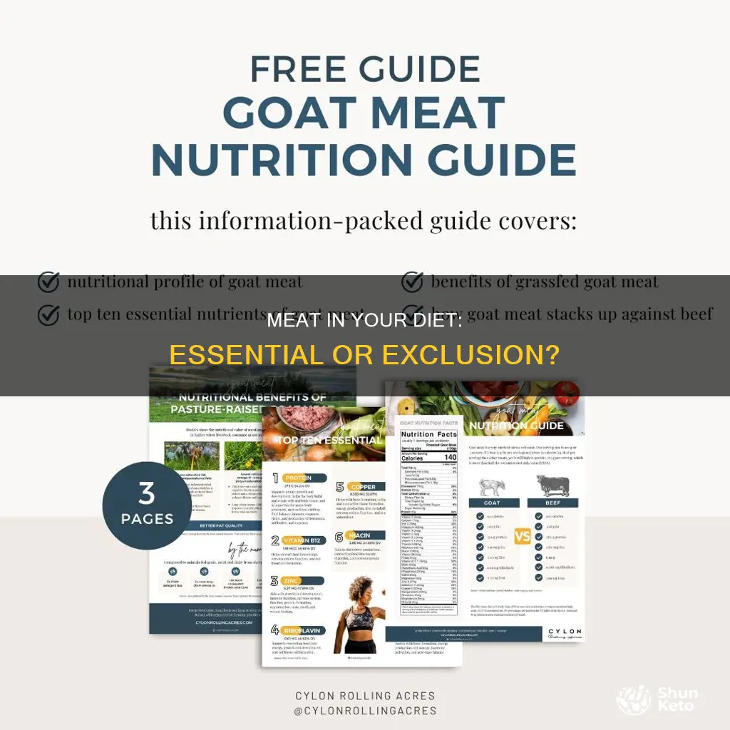 Meat In Your Diet: Essential Or Exclusion? | ShunKeto