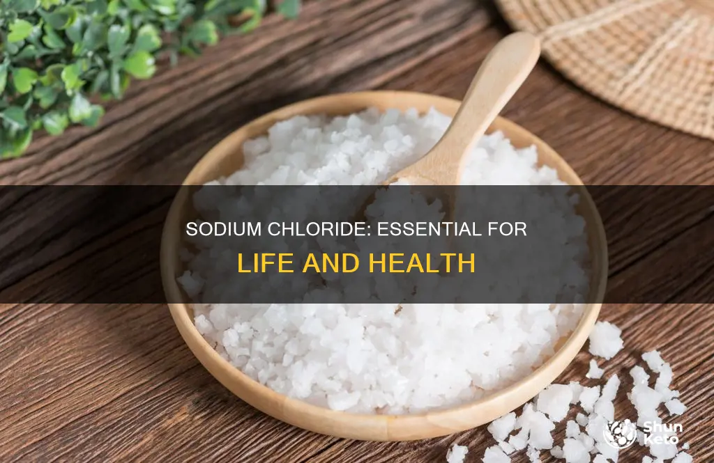 Sodium Chloride: Essential For Life And Health | ShunKeto
