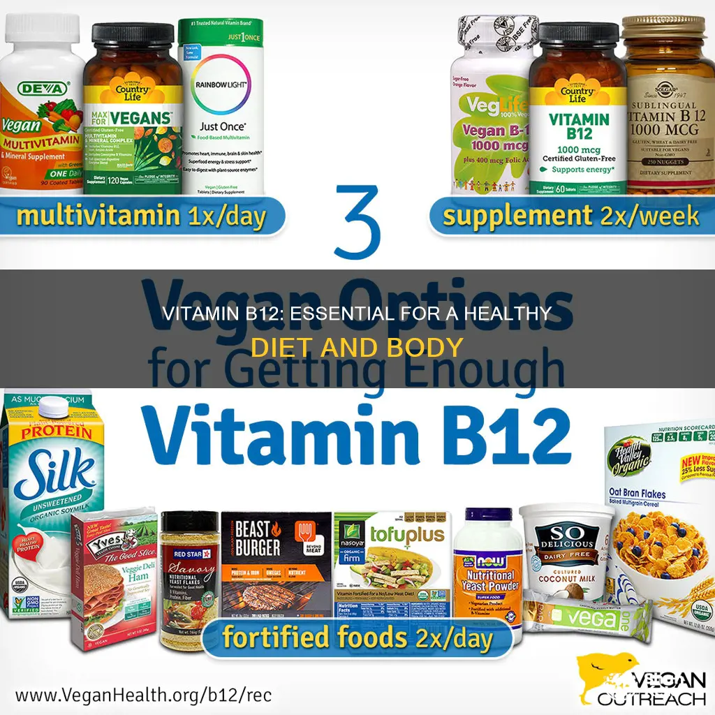 Vitamin B12: Essential For A Healthy Diet And Body | ShunKeto