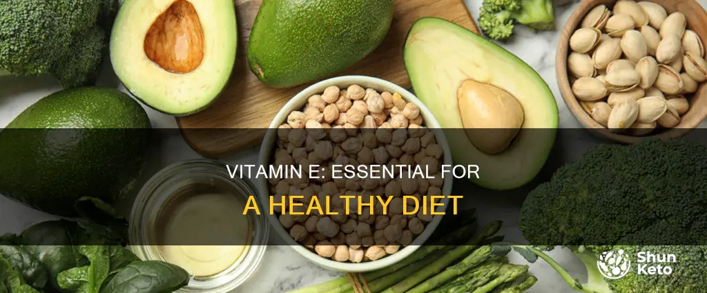 Vitamin E: Essential For A Healthy Diet | ShunKeto