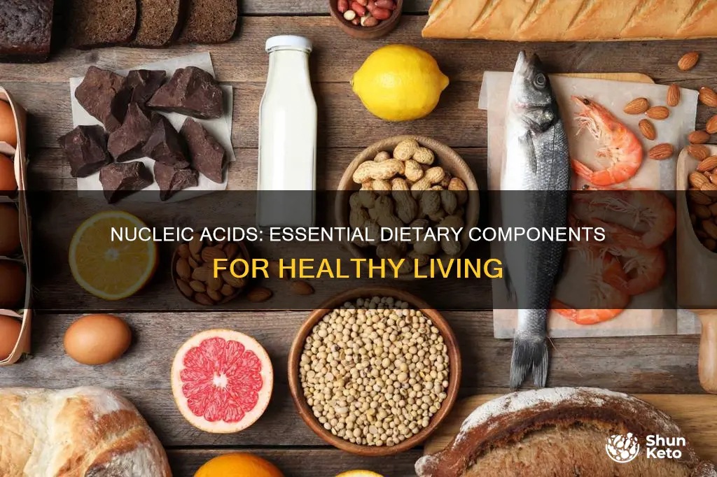 Nucleic Acids: Essential Dietary Components For Healthy Living | ShunKeto