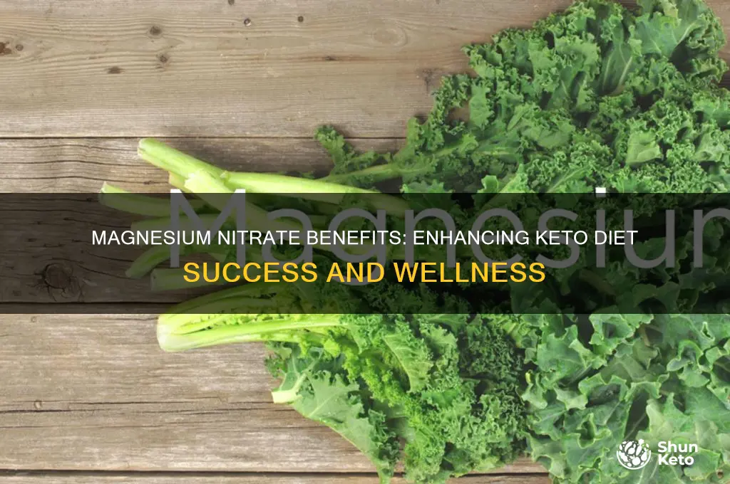 Magnesium Nitrate Benefits: Enhancing Keto Diet Success And Wellness ...