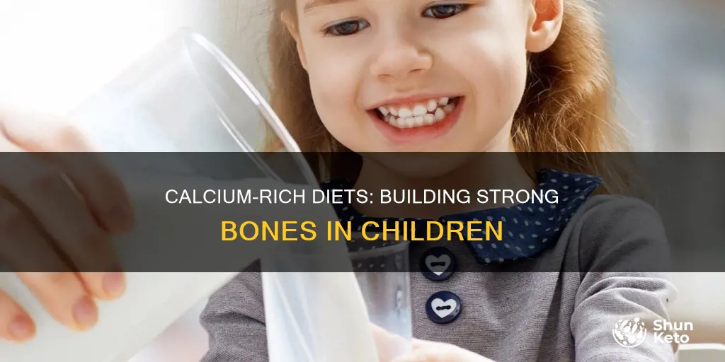 Calcium-Rich Diets: Building Strong Bones In Children | ShunKeto
