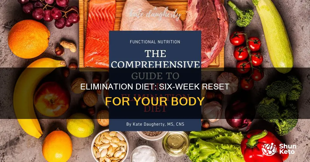Elimination Diet: Six-Week Reset For Your Body | ShunKeto