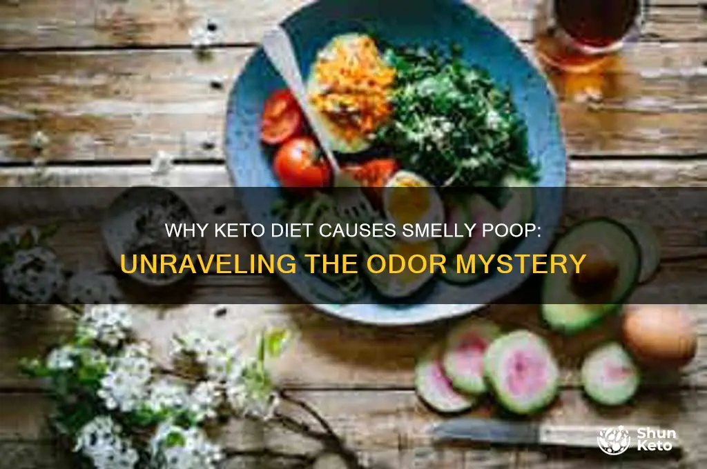 Why Keto Diet Causes Smelly Poop: Unraveling The Odor Mystery | ShunKeto