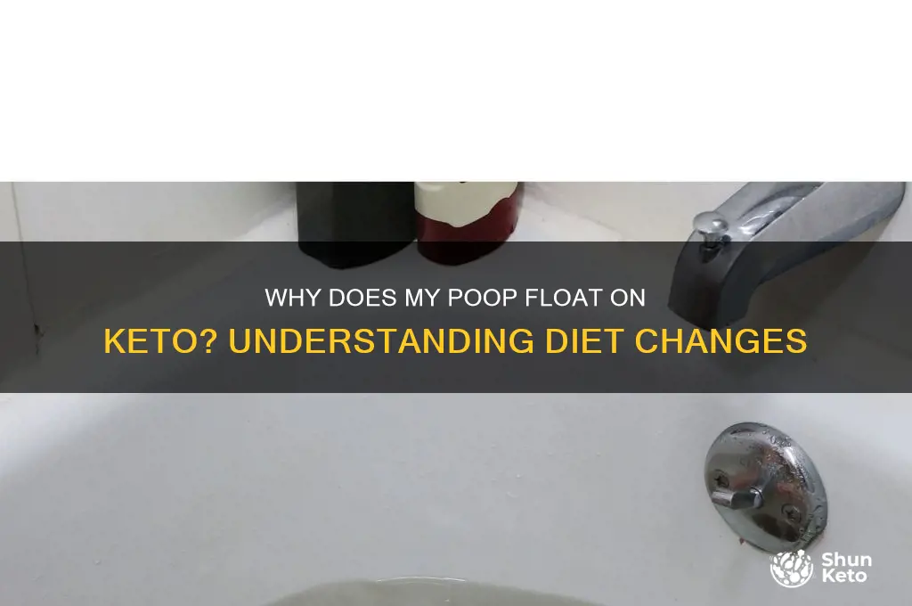 Why Does My Poop Float On Keto? Understanding Diet Changes | ShunKeto