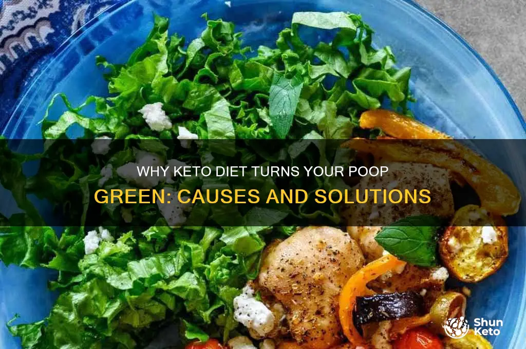 Why Keto Diet Turns Your Poop Green: Causes And Solutions | ShunKeto