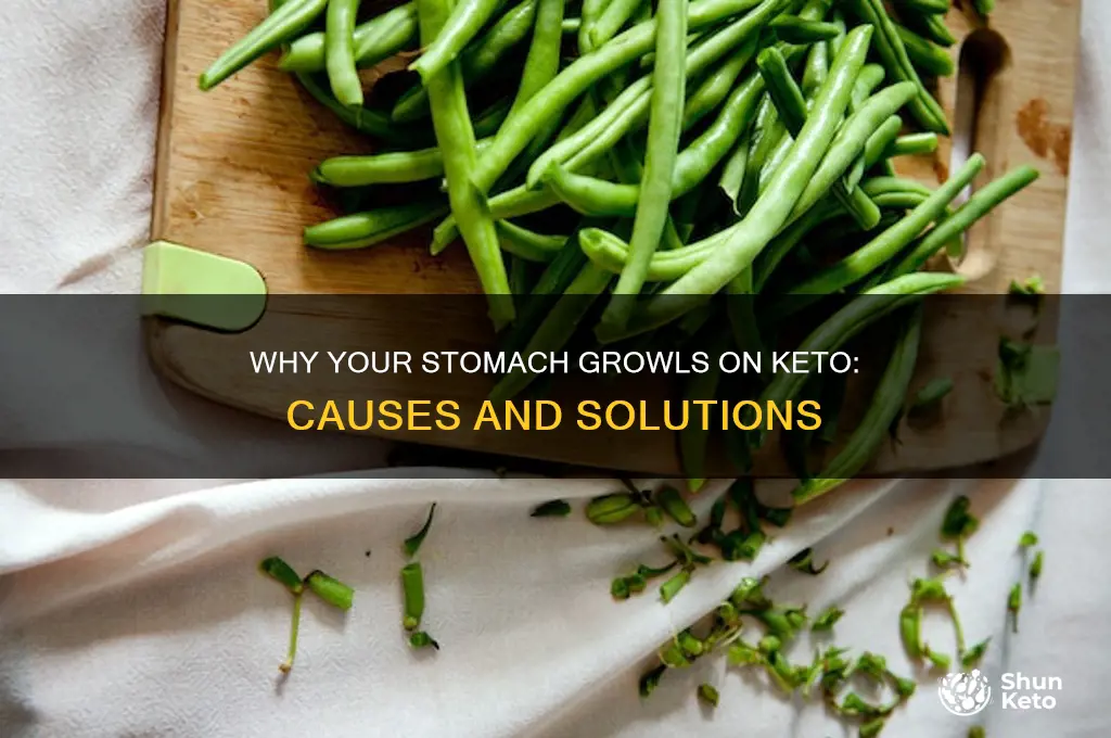 Why Your Stomach Growls On Keto: Causes And Solutions | ShunKeto