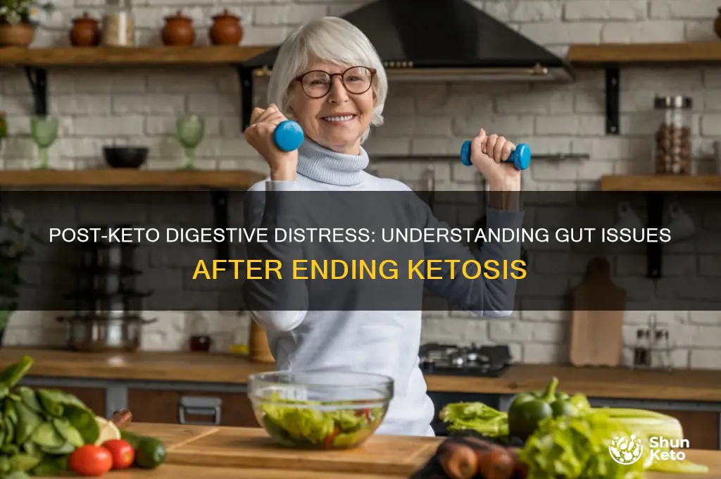 Post-Keto Digestive Distress: Understanding Gut Issues After Ending ...