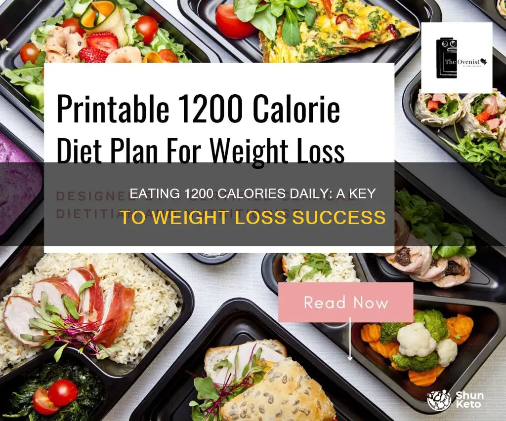 Eating 1200 Calories Daily: A Key To Weight Loss Success | ShunKeto