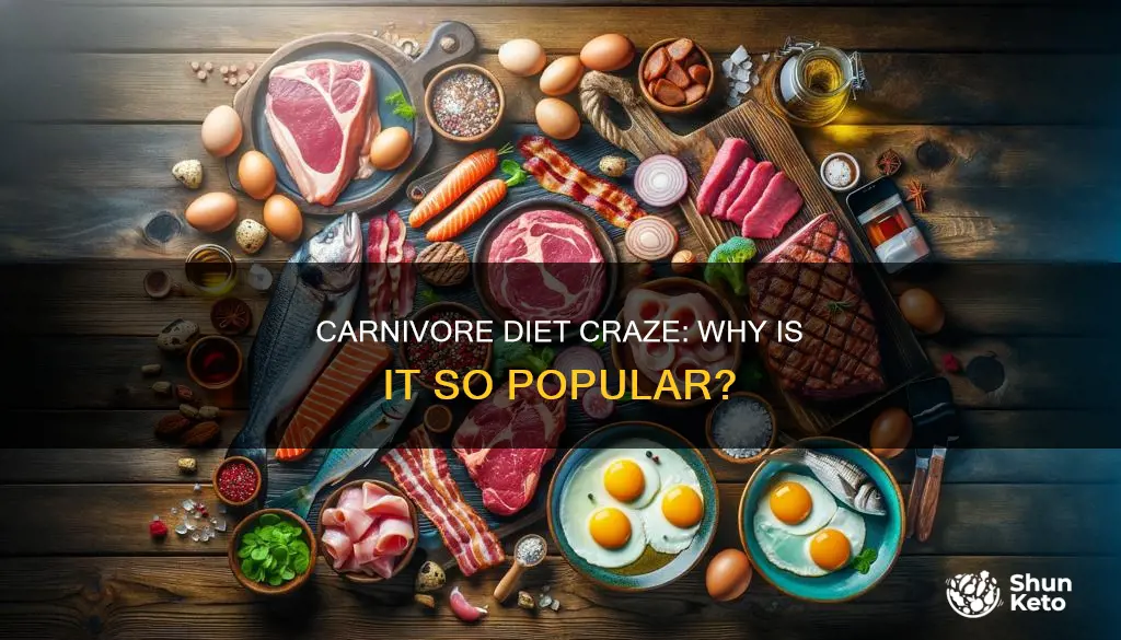 Carnivore Diet Craze: Why Is It So Popular? | ShunKeto