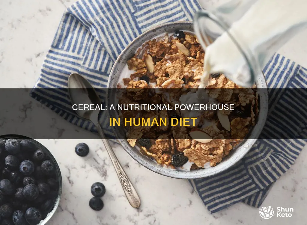 Cereal: A Nutritional Powerhouse In Human Diet | ShunKeto