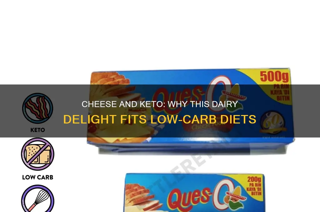Cheese And Keto: Why This Dairy Delight Fits Low-Carb Diets | ShunKeto