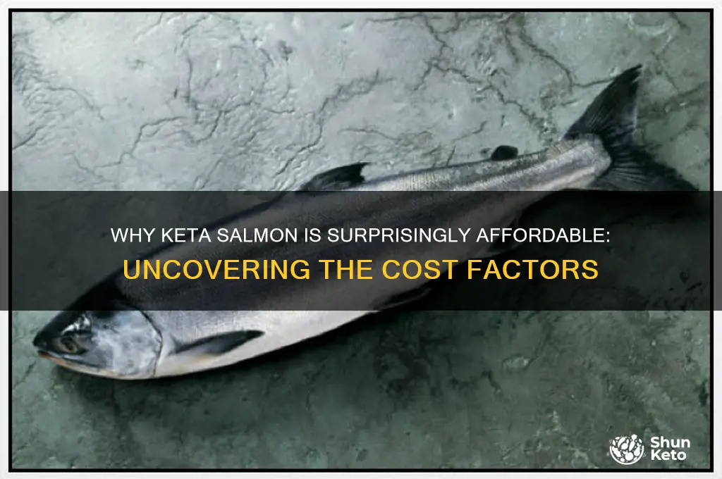 Why Keta Salmon Is Surprisingly Affordable: Uncovering The Cost Factors ...