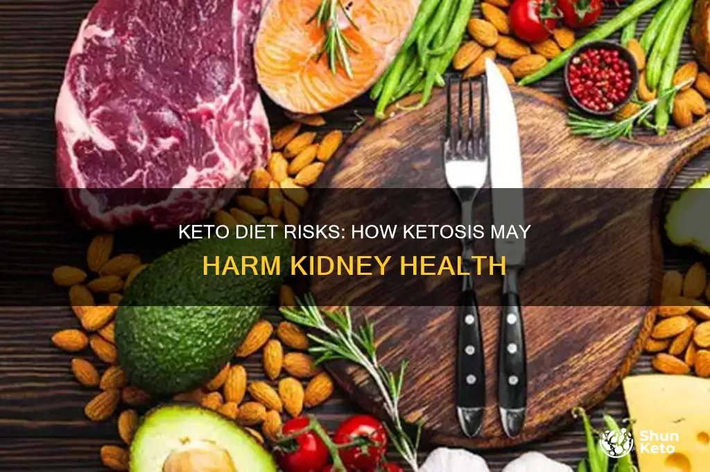 Keto Diet Risks: How Ketosis May Harm Kidney Health | ShunKeto