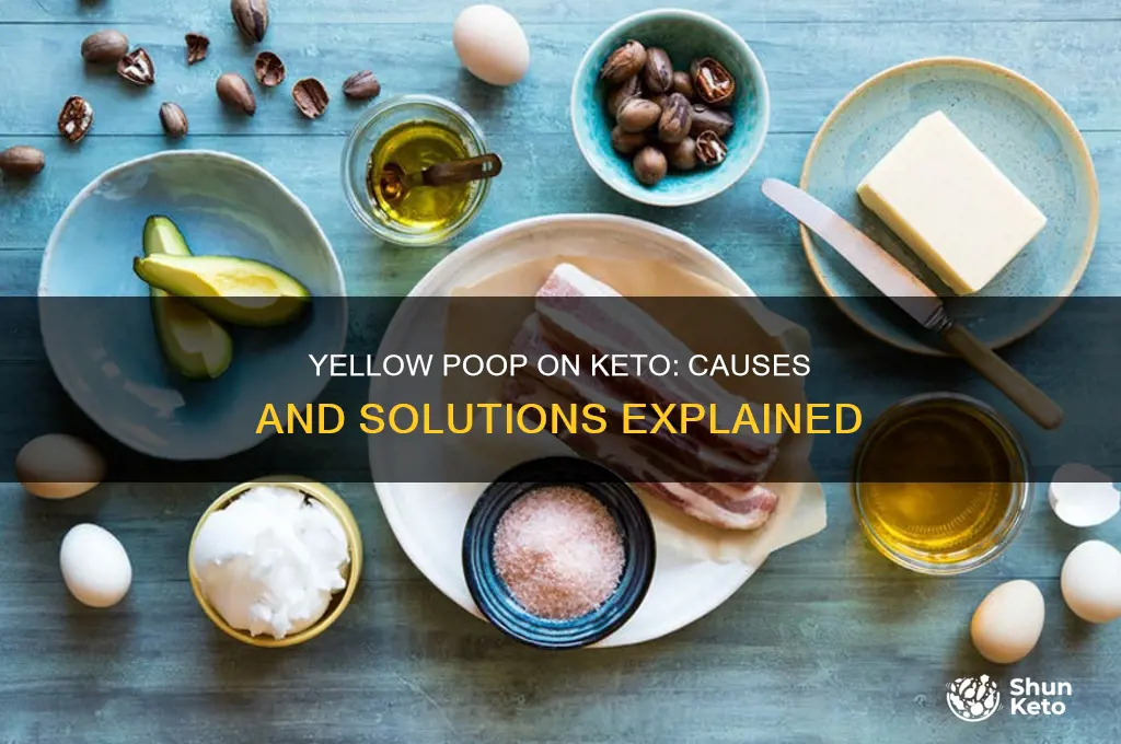Yellow Poop On Keto: Causes And Solutions Explained | ShunKeto
