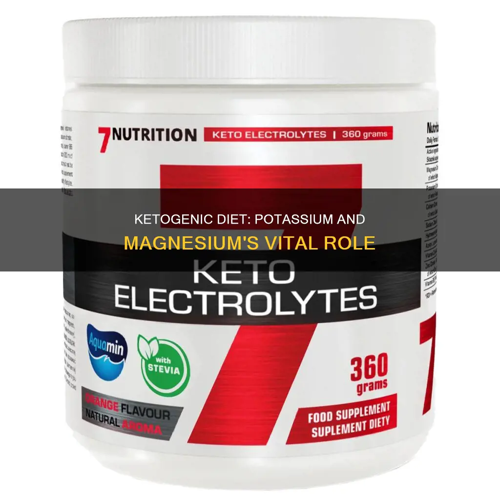 Ketogenic Diet: Potassium And Magnesium's Vital Role | ShunKeto