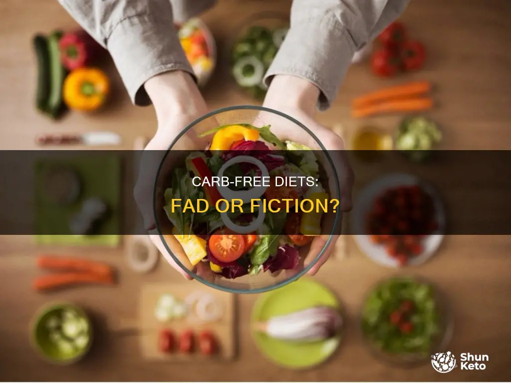 Carb-Free Diets: Fad Or Fiction? | ShunKeto
