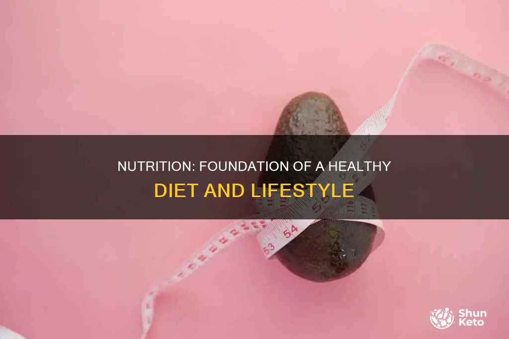 Nutrition: Foundation Of A Healthy Diet And Lifestyle | ShunKeto