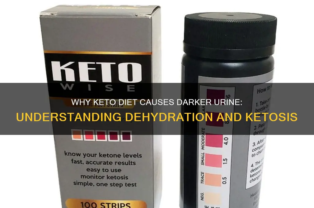 Why Keto Diet Causes Darker Urine: Understanding Dehydration And ...