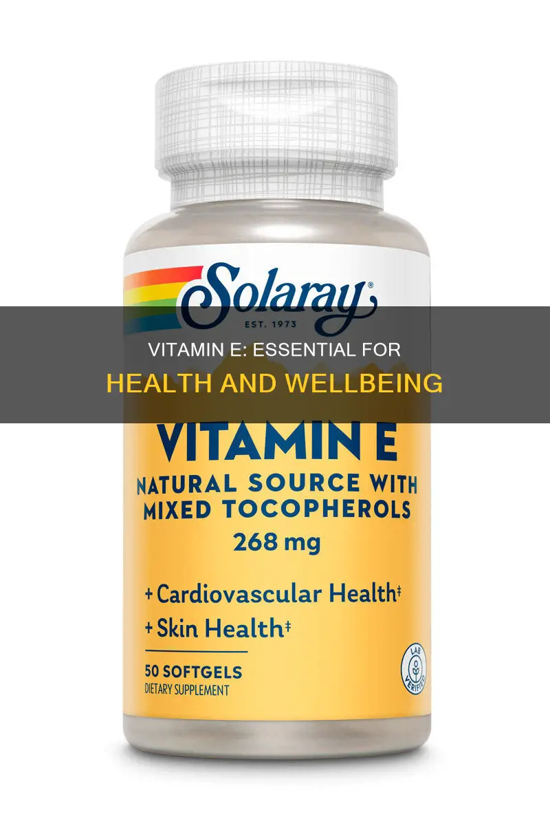 Vitamin E: Essential For Health And Wellbeing | ShunKeto