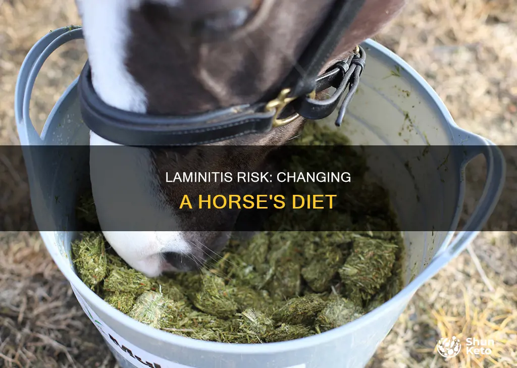 Laminitis Risk: Changing A Horse's Diet | ShunKeto