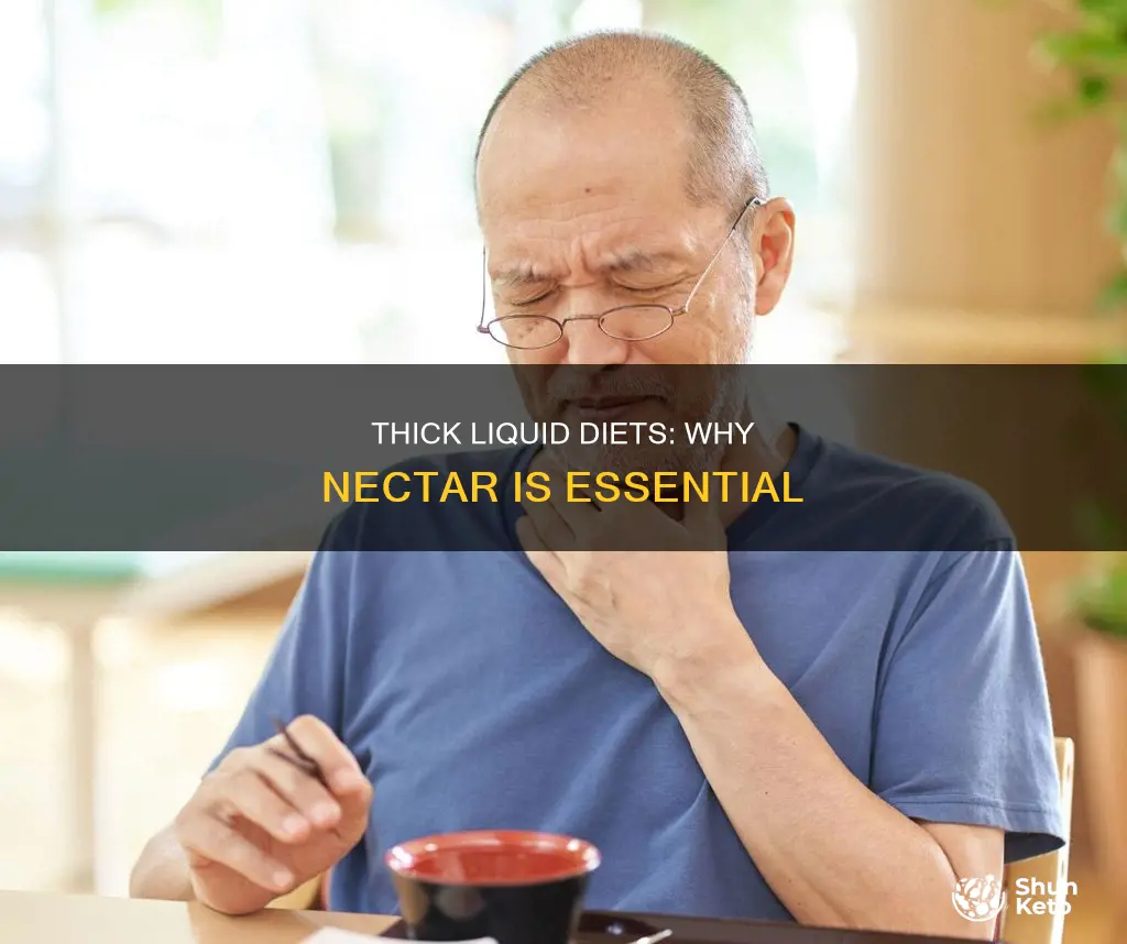 Thick Liquid Diets: Why Nectar Is Essential | ShunKeto