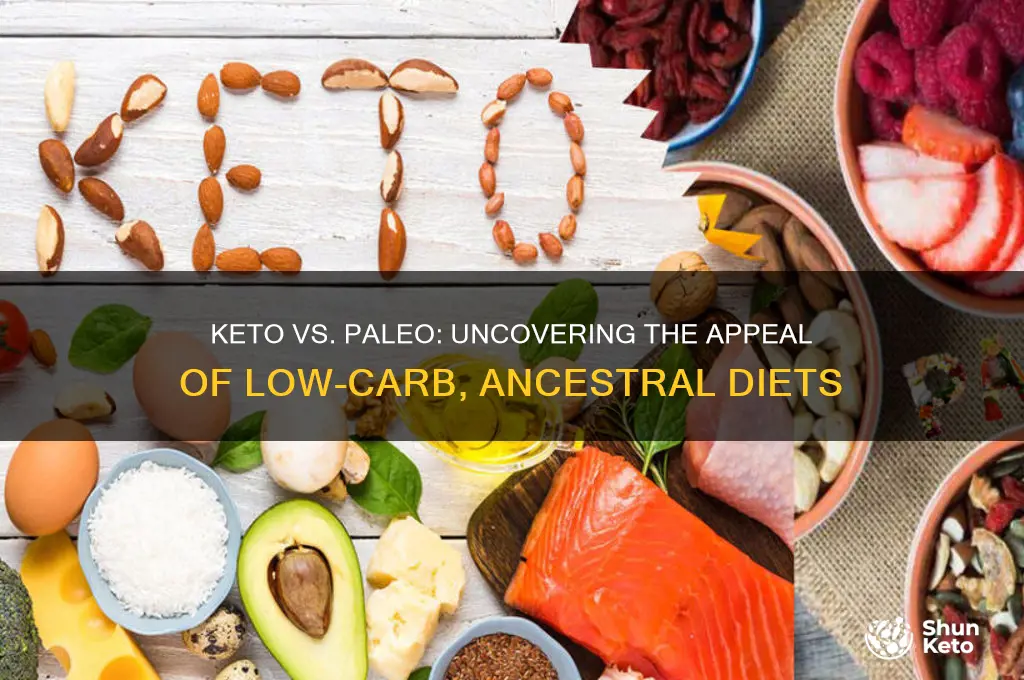 Keto Vs. Paleo: Uncovering The Appeal Of Low-Carb, Ancestral Diets ...