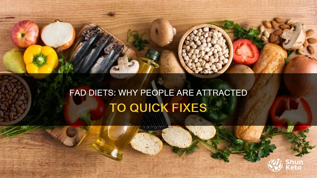 Fad Diets: Why People Are Attracted To Quick Fixes | ShunKeto
