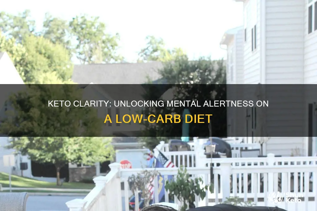 Keto Clarity: Unlocking Mental Alertness On A Low-Carb Diet | ShunKeto