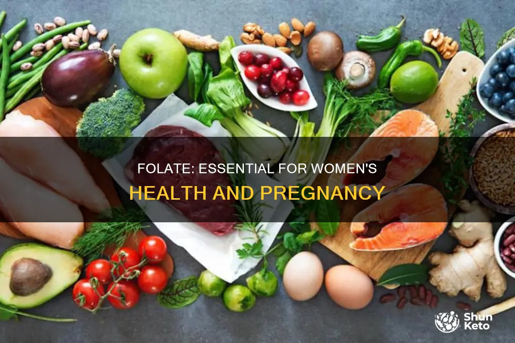 Folate: Essential For Women's Health And Pregnancy | ShunKeto