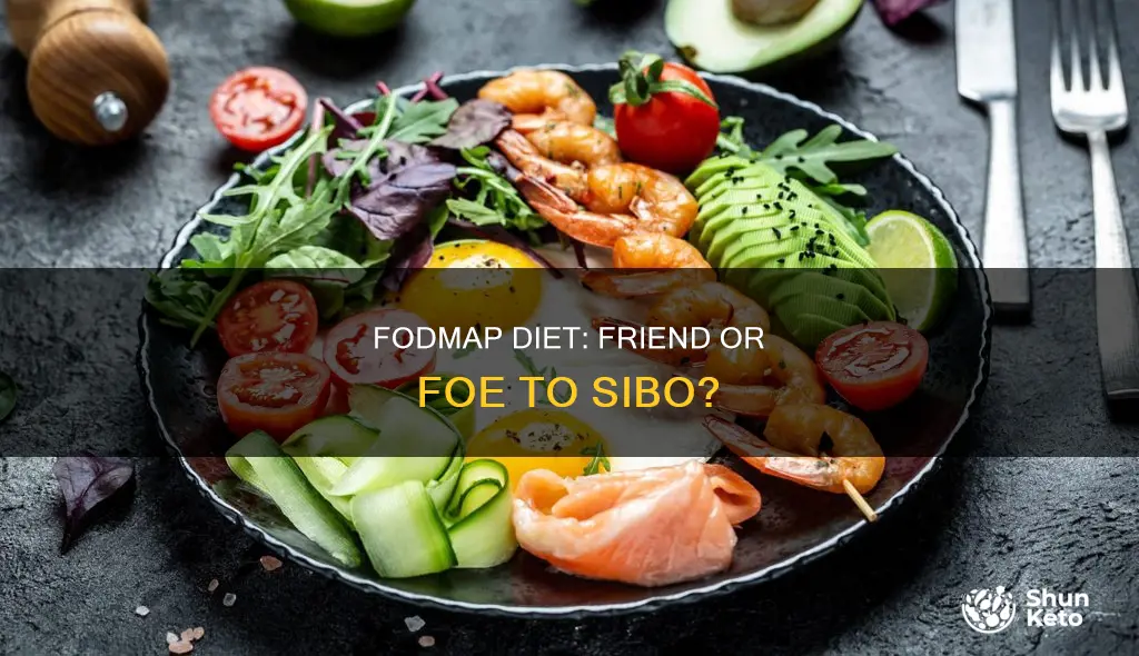 Fodmap Diet: Friend Or Foe To Sibo? | ShunKeto