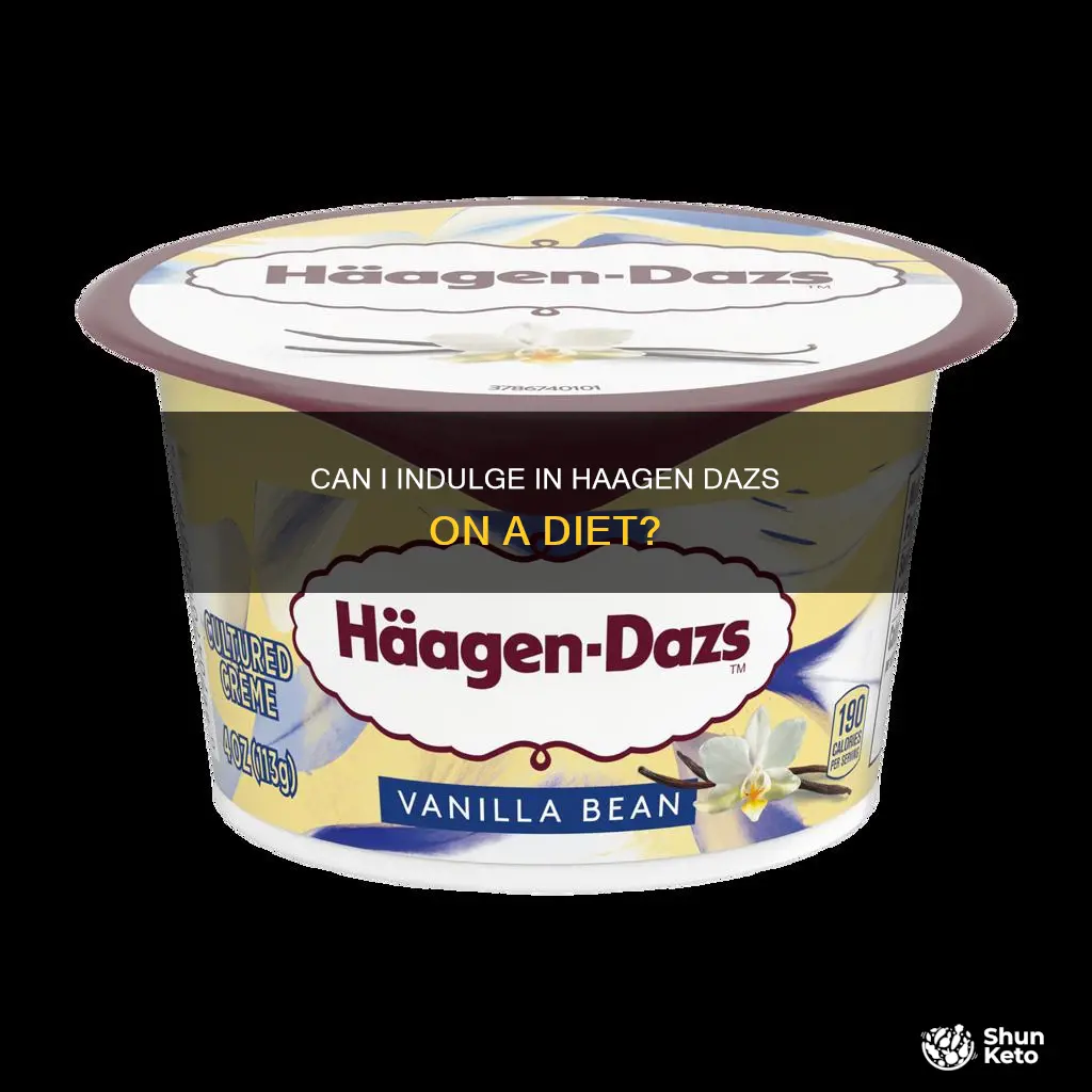 Can I Indulge In Haagen Dazs On A Diet? | ShunKeto